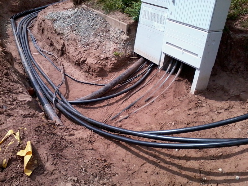 Referenzen Einzelreferenz